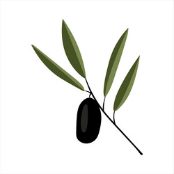 Olive branch Royalty Free Vector Image - VectorStock