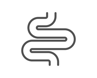 Intestine line icon healthy bowel digestion sign Vector Image