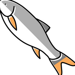 Rohu Fish Vector Images (over 160)