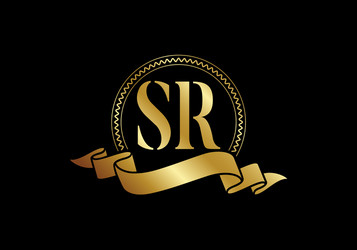 Initial monogram letter s r logo design template Vector Image