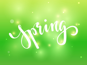 Welcome spring hand drawn calligraphy and brush Vector Image