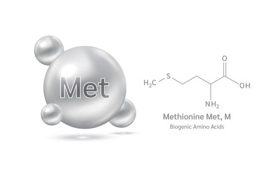 Methionine Vector Images (over 150)