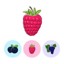 Raspberries Vector Images (over 25,000)
