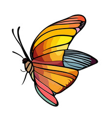 Butterfly Side View Vector Images (over 340)
