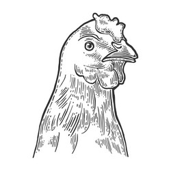 Vintage Chicken Vector Images (over 16,000)