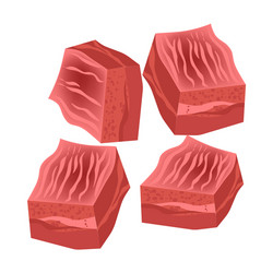 Raw beef meat sliced in tray Royalty Free Vector Image