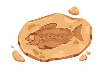 Fossil stone with ancient old fish imprint Vector Image