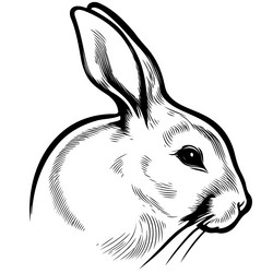 Bunny rabbit mammal animal head Royalty Free Vector Image