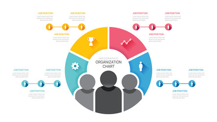 Organization chart infographic template Royalty Free Vector