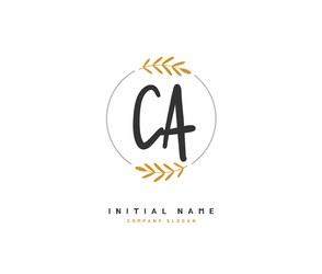 C a ca initial letter handwriting and signature Vector Image