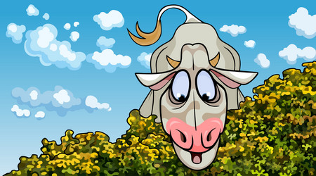 Cow Front View Vector Images (over 420)