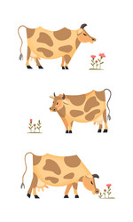 Cattle Grazing Icon Vector Images (over 1,300)
