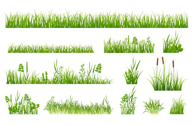 Swamp plants border realistic green grass line Vector Image