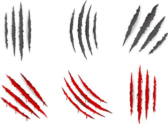 Dragon claw marks scratches of monster wild beast Vector Image