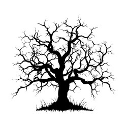 Dead tree no life damaged environment Royalty Free Vector