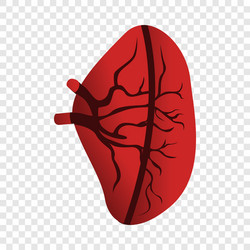 Healthy spleen icon cartoon style Royalty Free Vector Image