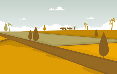 Paddy Vector Images (over 6,300)
