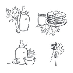 Maple syrup set sketch Royalty Free Vector Image