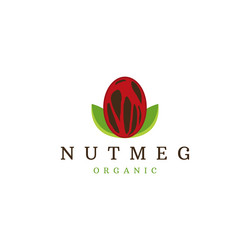 Nutmeg logo icon design Royalty Free Vector Image
