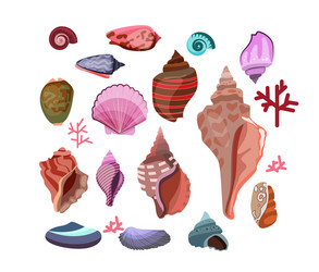Shell Vector Images (over 110,000)