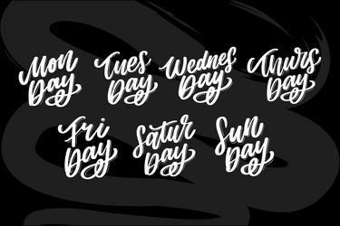 Handwritten week days and symbols set ink font Vector Image