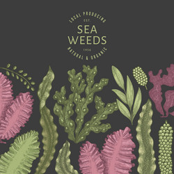 Seaweed card design in sketch style edible algae Vector Image