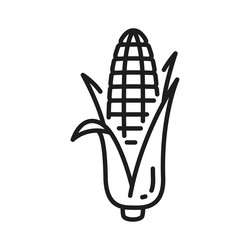 Corn Outline