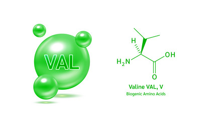 Alanine Amino Acid Vector Images (95)