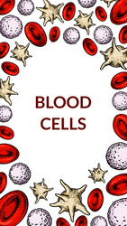 Blood cells background design for test Royalty Free Vector