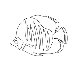 Saltwater Angelfish Drawing