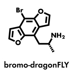 Bromo Vector Images (26)