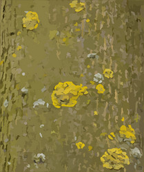 Lichens Vector Images (over 930)