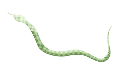 Polygon Snake Vector Images (over 390)