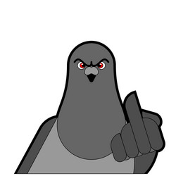 Angry Pigeon Vector Images (50)