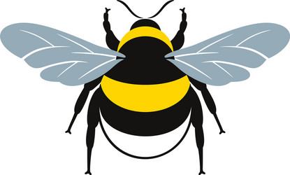 Bumblebee Royalty Free Vector Image - VectorStock