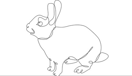 Muzzle hare rabbit one continuous line portrait Vector Image