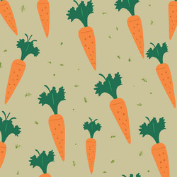 Root vegetable carrots orange colo Royalty Free Vector Image