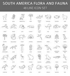 South america flora and fauna map flat elements Vector Image