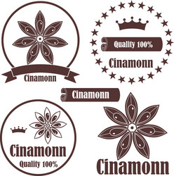 Cinnamon design with aromatic spice sticks Vector Image
