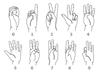 Cartoon hand numbers gesture counting sign hands Vector Image