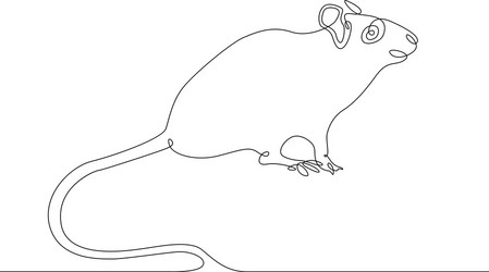 Rat Line Drawing Vector Images (over 1,800)