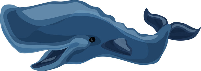 Cartoon Whale Fat Vector Images (over 100)