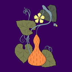 Calabash Vector Images (over 1,100)