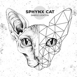Sphynx Cat Vector Images (over 1,100)