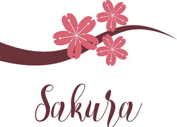 Sakura template design Royalty Free Vector Image