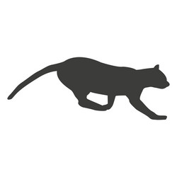 Cat Running Vector Images (over 2,800)