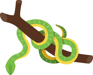Snake on a tree Royalty Free Vector Image - VectorStock