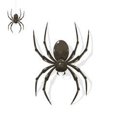Flat style of spider Royalty Free Vector Image