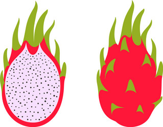 Dragon fruit Royalty Free Vector Image - VectorStock