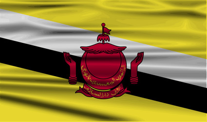 Flag of brunei with old texture Royalty Free Vector Image